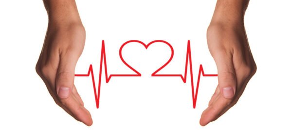 ECHO Program – SAFFRON